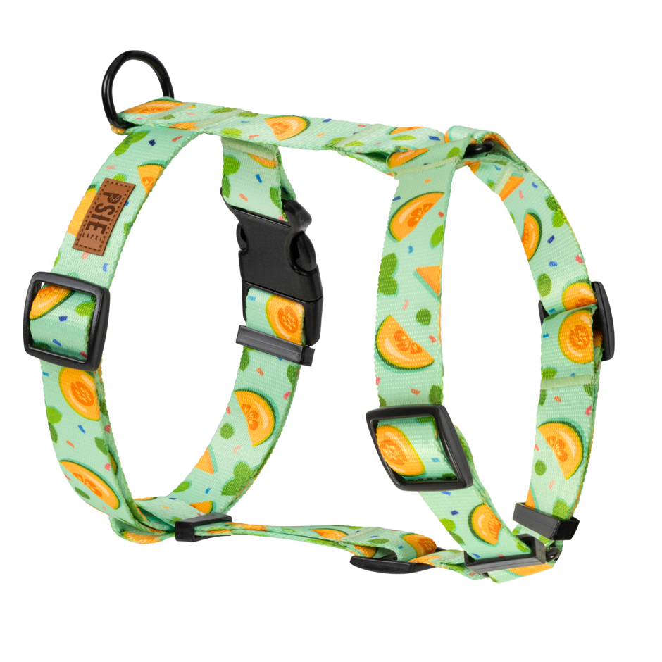 Szelki typu guard – PSIEŁAPKI.pl